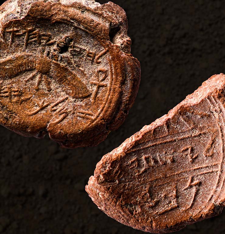ArmstrongInstitute.org | Armstrong Institute of Biblical Archaeology
