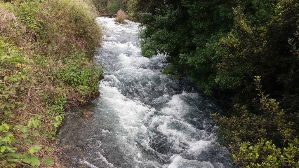 Uncovering the Bible’s Buried Cities: Dan | ArmstrongInstitute.org