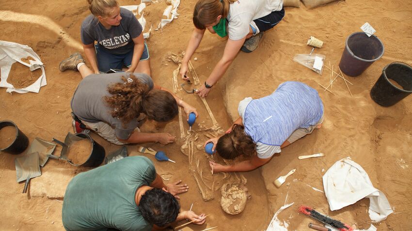 DNA Study Shows Bible Correct on Philistine Origins ...