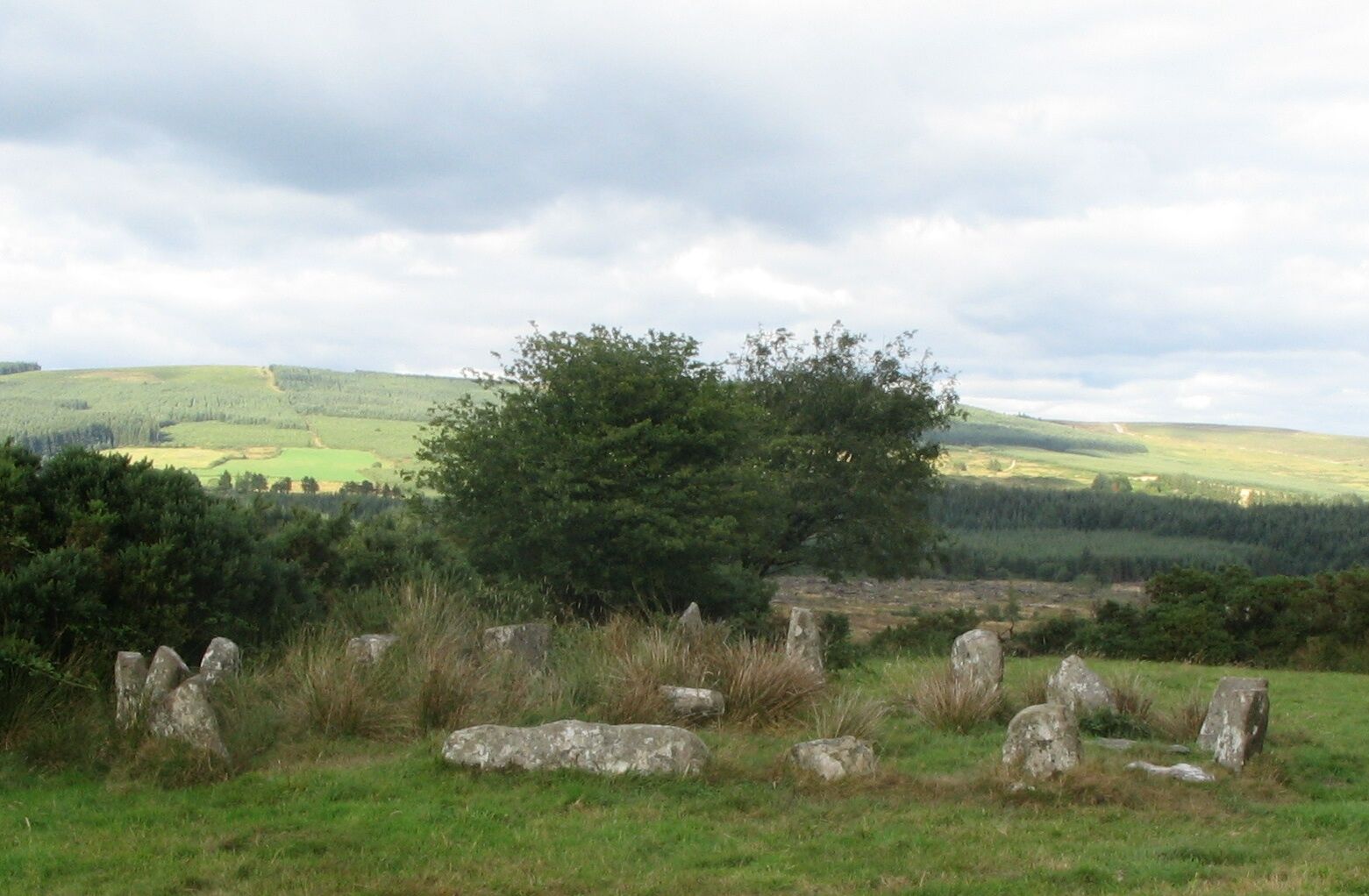 Were the Celtic Druids Pagan Israelite Priests? | ArmstrongInstitute.org