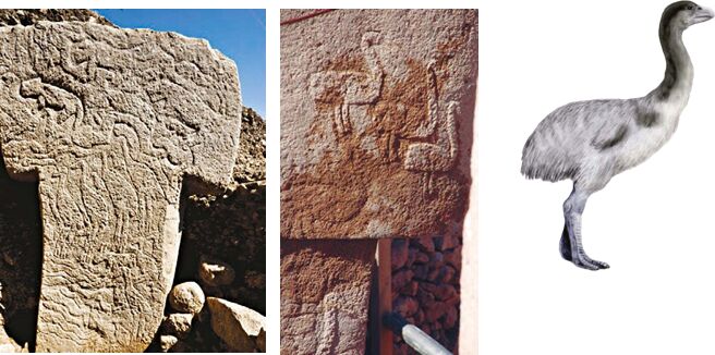 Göbekli Tepe, 'Stone Age Zoo,' in the Book of Genesis ...