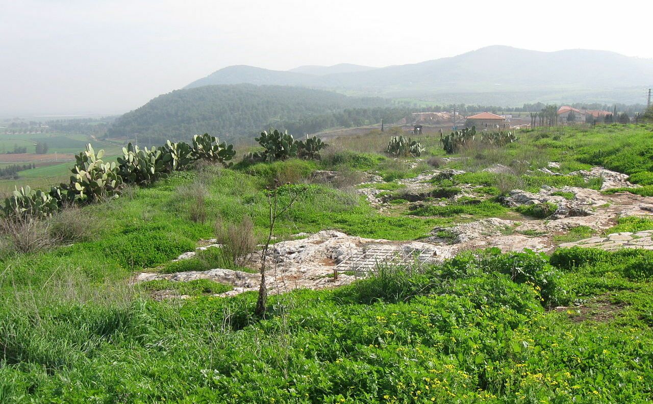 Naboth's Vineyard Found in Jezreel? | ArmstrongInstitute.org