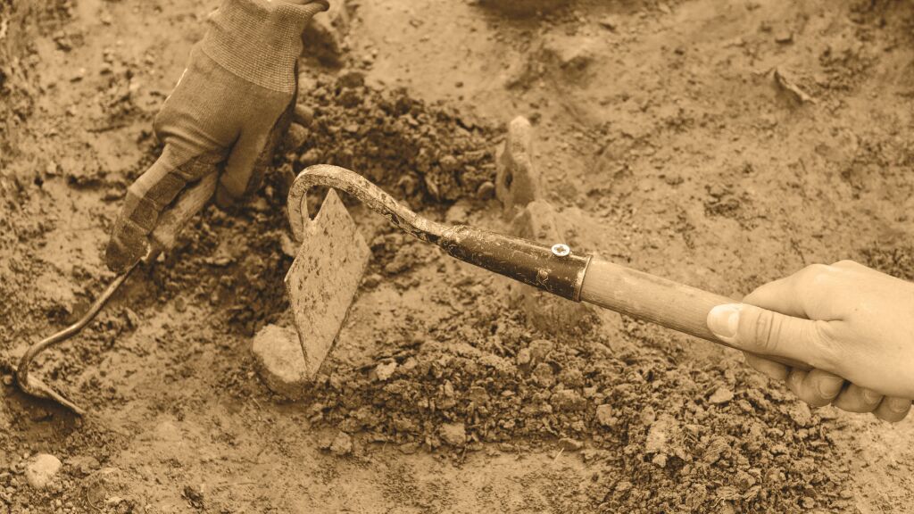 Top 10 Archaeological Discoveries of 2019 | ArmstrongInstitute.org