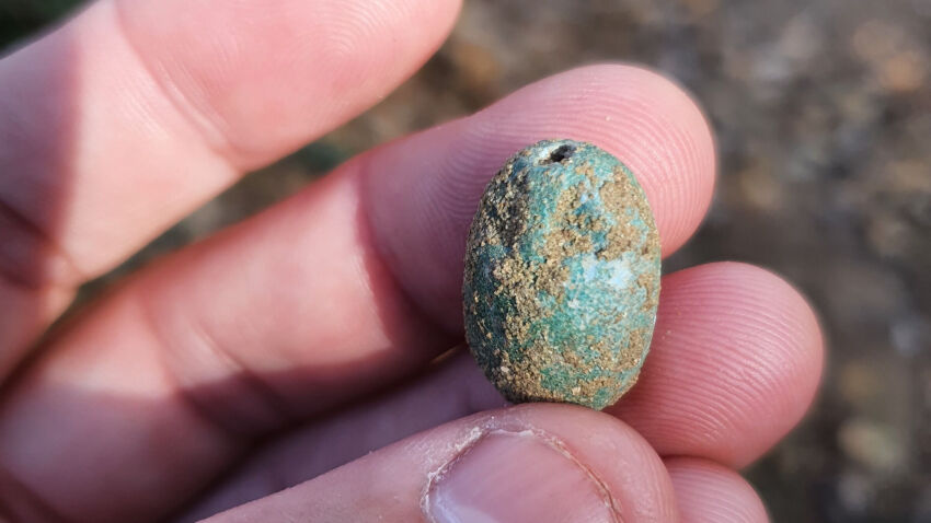 3,500-Year-Old Scarab Found on School Field Trip | ArmstrongInstitute.org