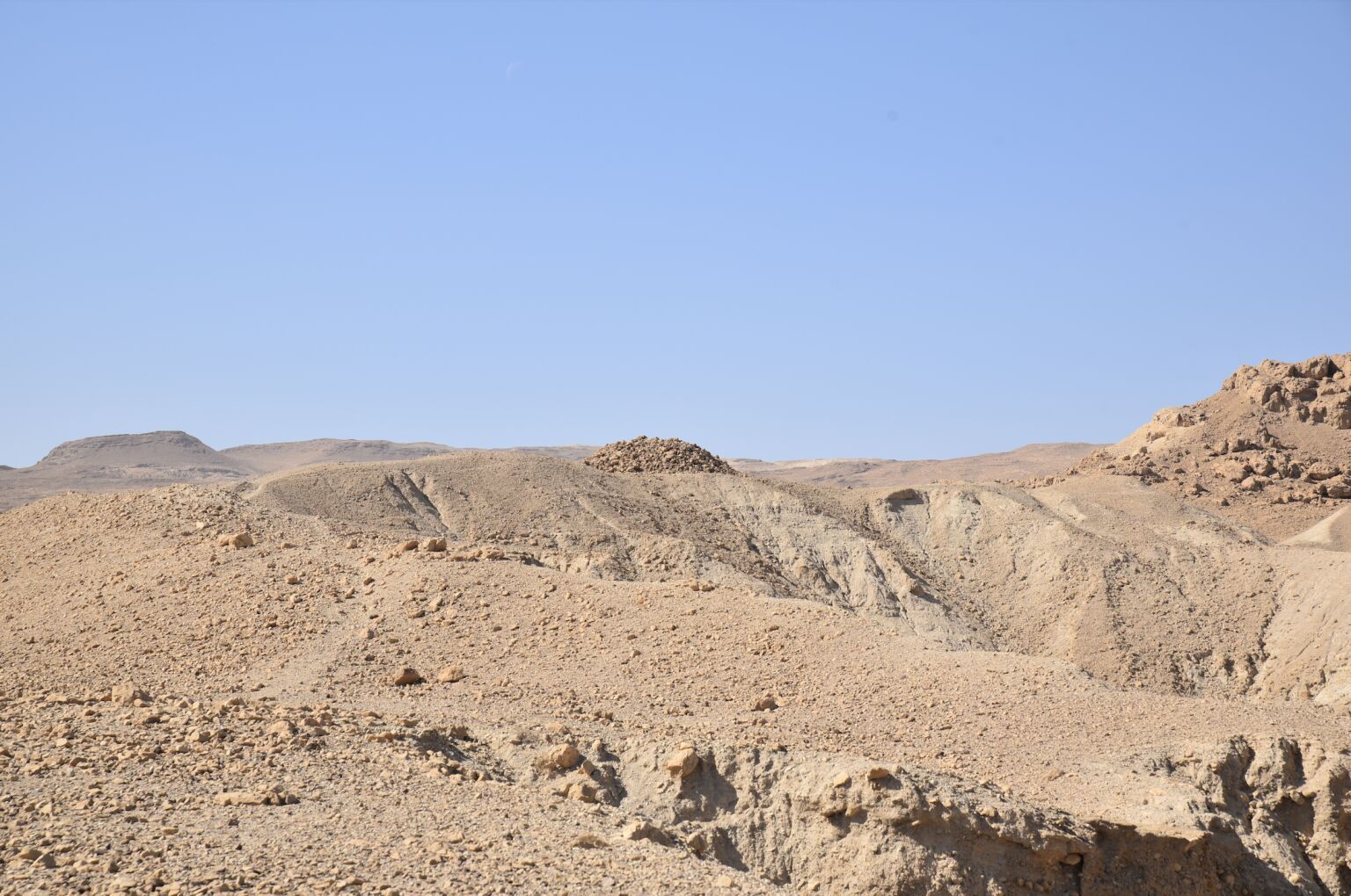 Revealing King David’s Edomite Garrisons | ArmstrongInstitute.org