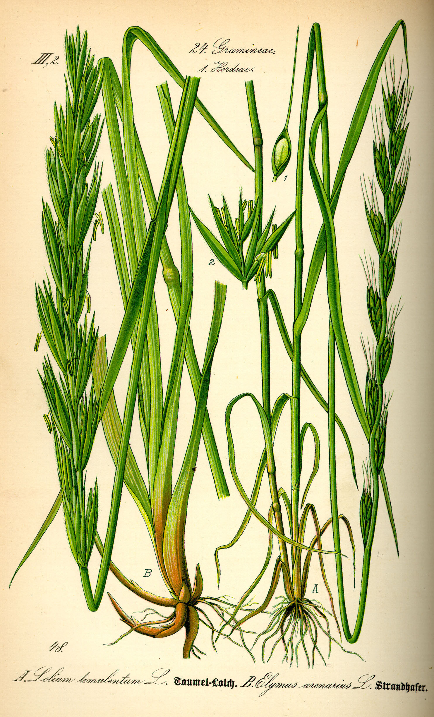 Top 10 Biblical Archaeology Discoveries of 2024 | ArmstrongInstitute.org