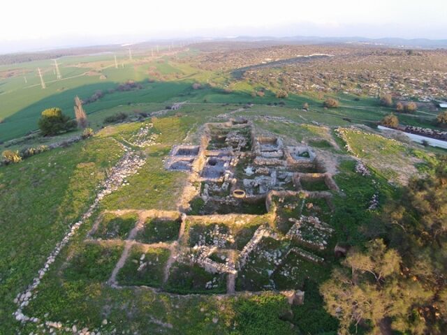 Hallucinogenic Plants Discovered in Temples at Gath ...