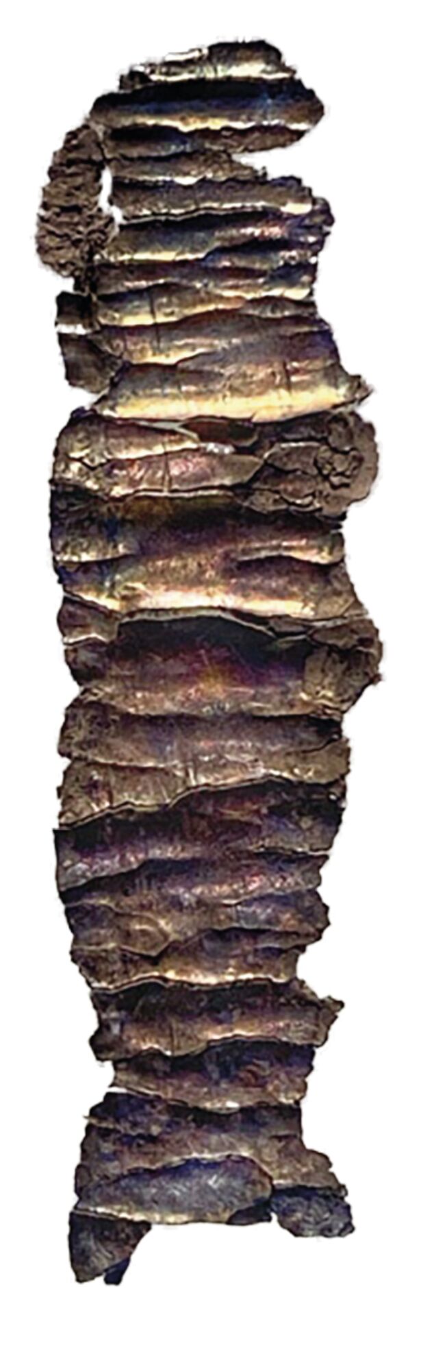 The Ketef Hinnom Scrolls: Earliest Biblical Text Ever Discovered ...