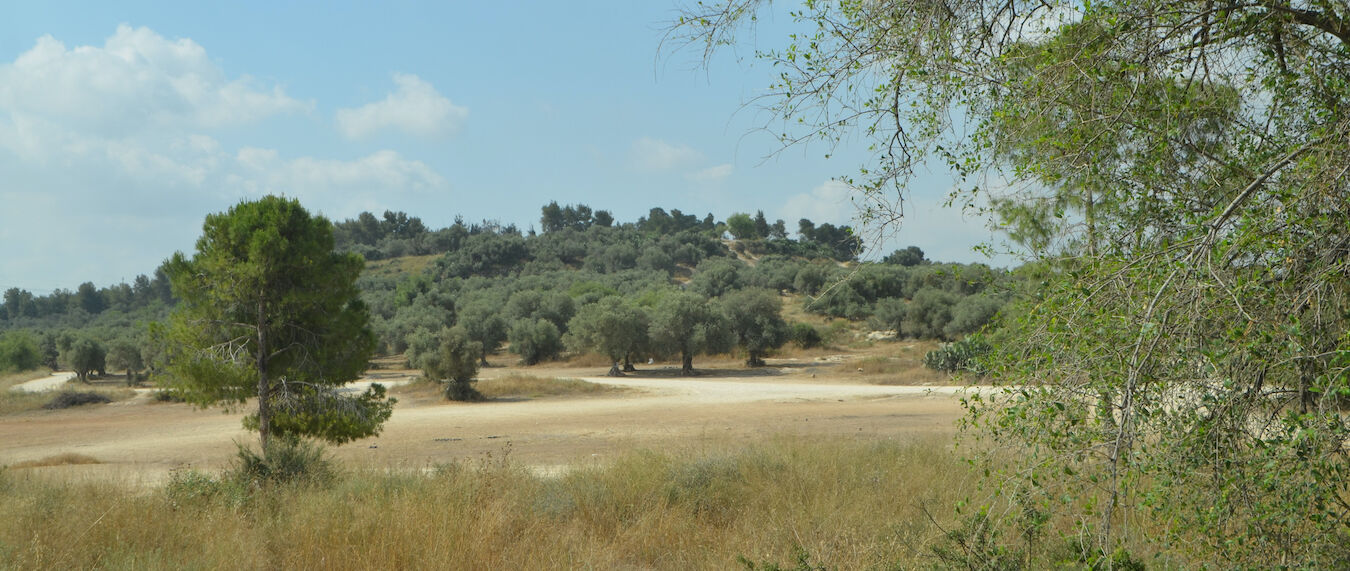 Assyrian Deportation Policy at Tel Hadid | ArmstrongInstitute.org