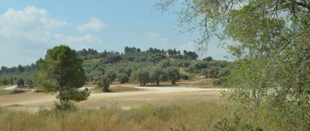 Assyrian Deportation Policy at Tel Hadid | ArmstrongInstitute.org