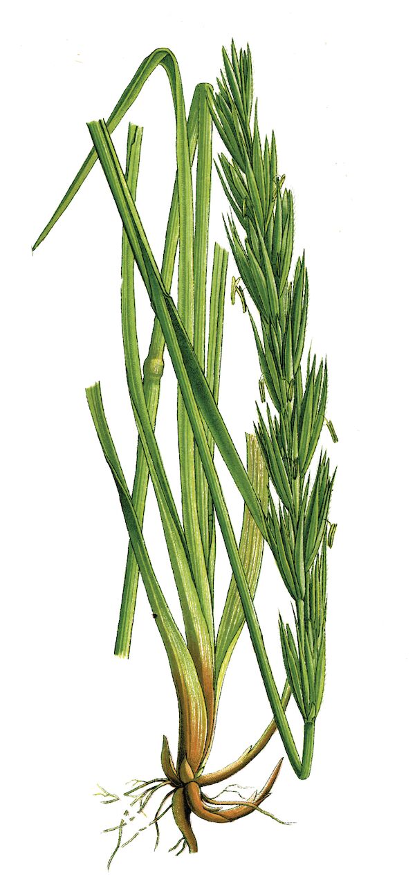 Top 10 Biblical Archaeology Discoveries of 2024 | ArmstrongInstitute.org